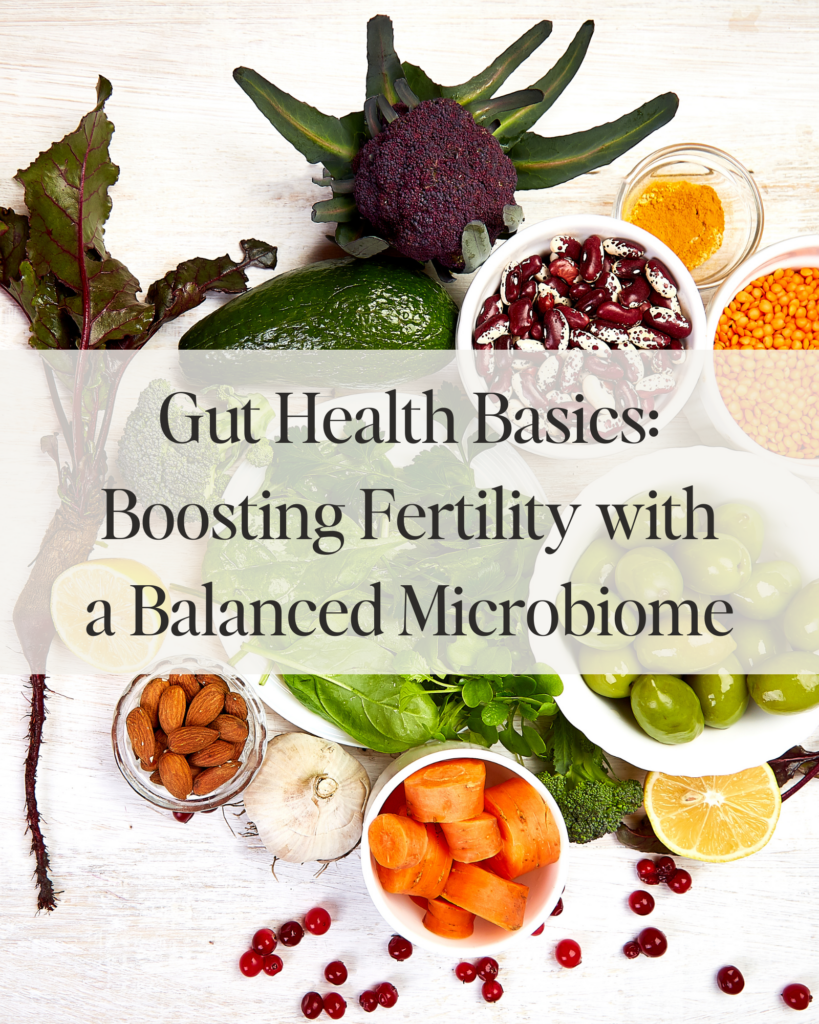 Gut Health Basics: Boosting Fertility with a Balanced Microbiome ...